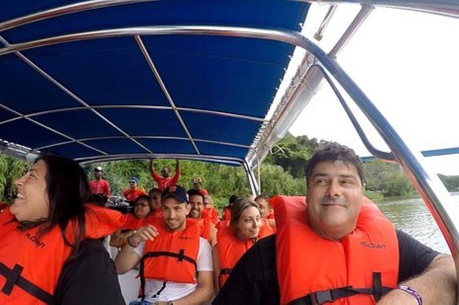 Saona Island VIP Full Day All Inclusive Excursion - Introduction