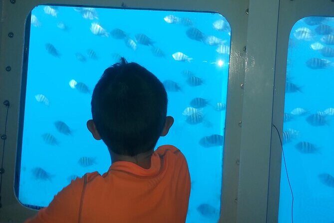 Saona Island With Semi Underwater And Snorkel From Bavaro Punta Cana - Key Points