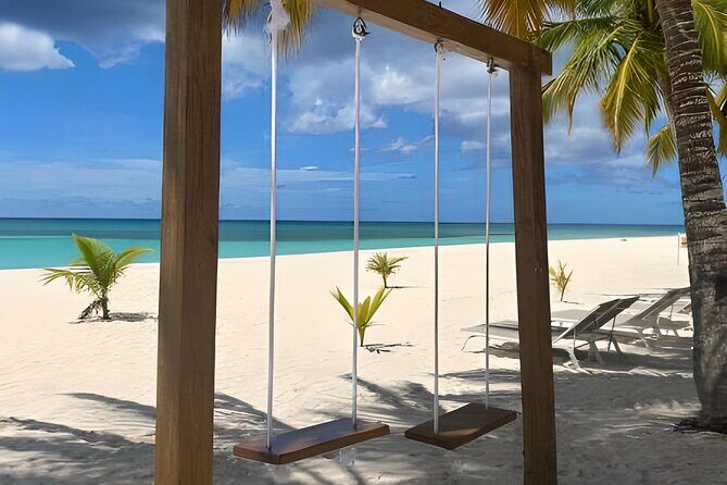 Saona Island With Semi Underwater And Snorkel From Bavaro Punta Cana - Detailed Review of the Experience