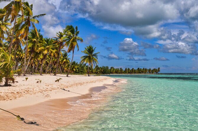 Saona Paradise Island : Catamaran, Natural Pool and Typical Lunch - The Excursion in Detail: What to Expect