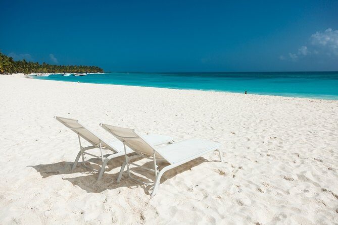 Saona Private Full-Day Tour from Punta Cana - Exploring the Saona Private Full-Day Tour from Punta Cana