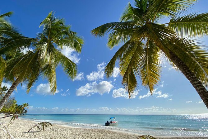 Saona Private Full-Day Tour from Punta Cana - The Value: Is It Worth the Cost?