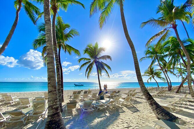 Saona Private Tour with Own Guide and Transport from Punta Cana - Introduction: Why Choose a Private Saona Tour?