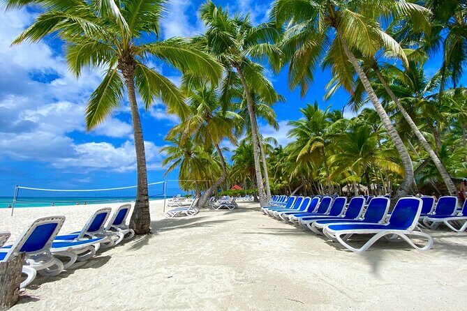 Saona Private Tour with Own Guide and Transport from Punta Cana - The Sum Up: Who Should Consider This Tour?