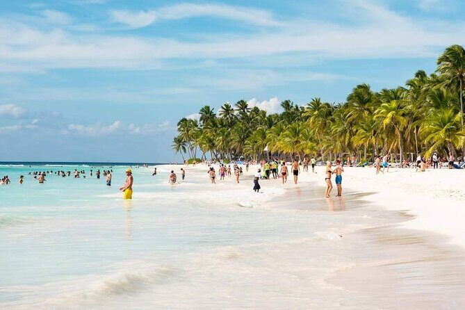 Saona Relax Tour - Natural Pool Stop: A Refreshing Pause