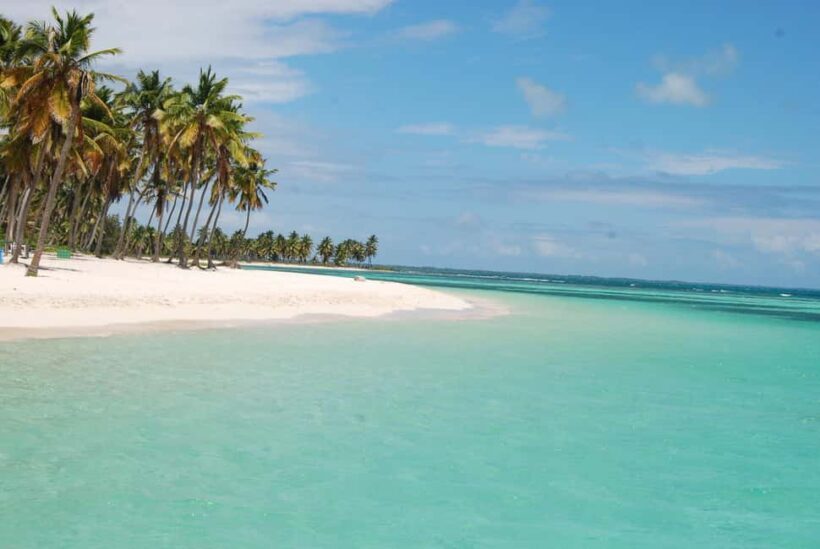 Saona Special Tour: 4 Beaches with Canto from Punta Cana - Key Points