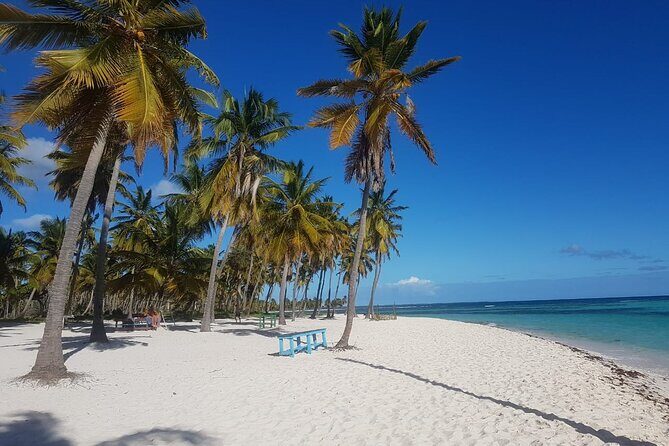 Saona Triple Paradise Experience - Practical Tips for Travelers