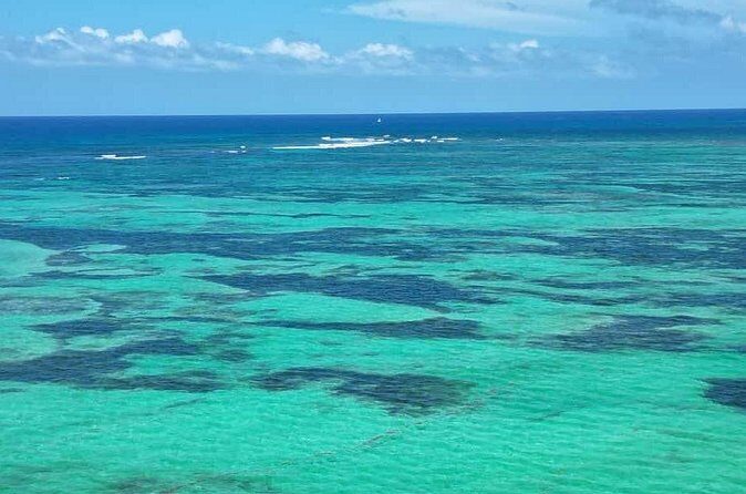 Saône Catamaran Island - speedboat, open bar and lunch - FAQs