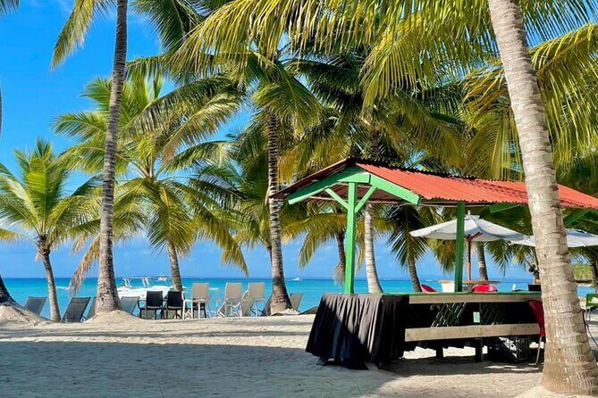 Saône Catamaran Island - speedboat, open bar and lunch - Final Thoughts