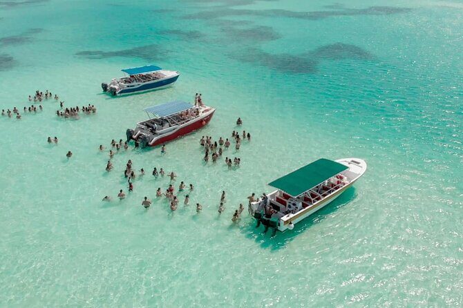 Saône Island from Punta Cana Catamaran, Natural Pool and Lunch - Key Points