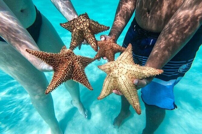 Saône Island: Tropical Paradise with Snorkeling and Lunch Included - What Travelers Say and Why It Matters