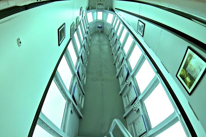 Saône Island with Semi Underwater and Snorkeling from Santo Domingo - An In-Depth Look at the Tour Experience