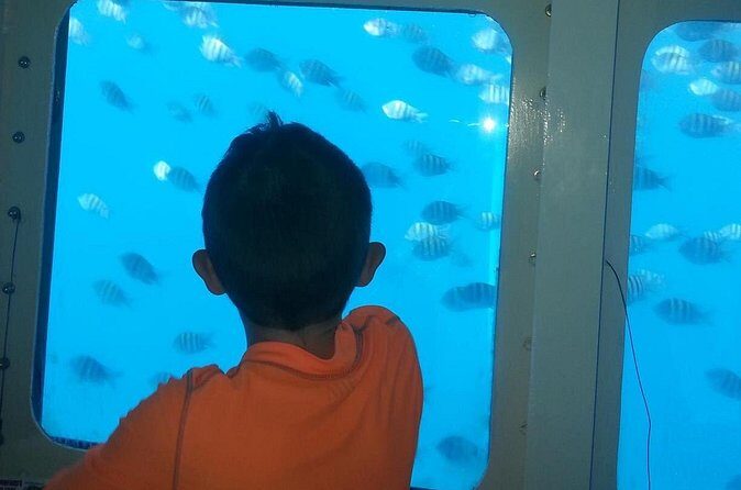 Saône Island with Semi Underwater and Snorkeling from Santo Domingo - Who Will Love This Tour?