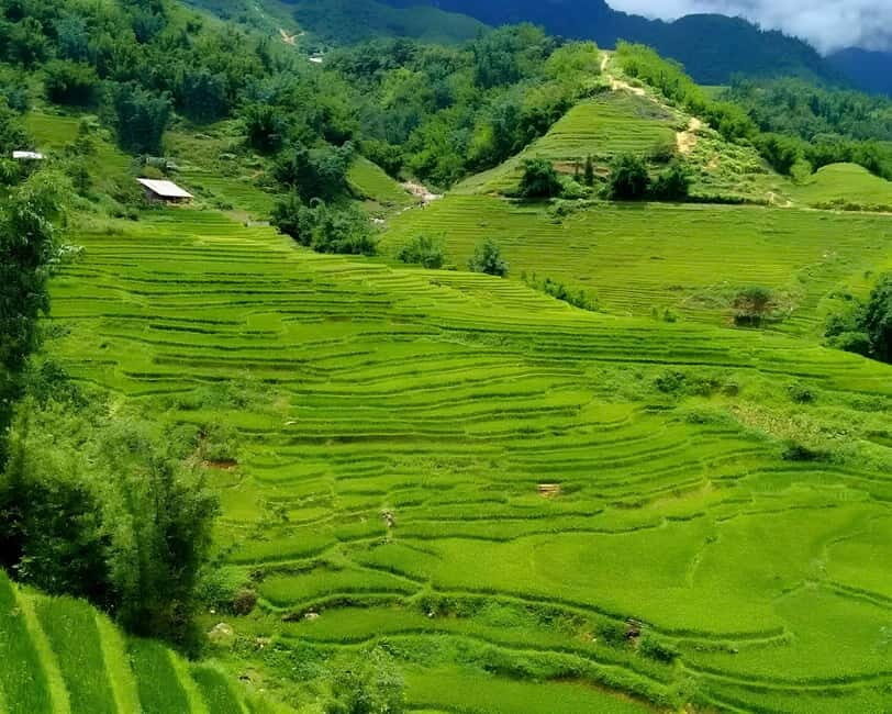 Sapa 1 Day Long Trek: Trek to Hau Thao and Sa Seng Villages - Final Thoughts: Who Should Consider This Trek?