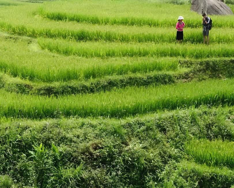 Sapa 1 Day Long Trek: Trek to Hau Thao and Sa Seng Villages - FAQ