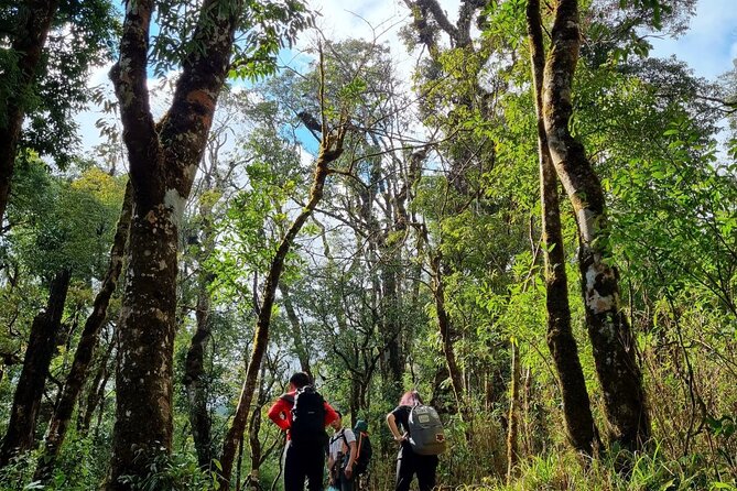 Sapa 1 day trek with local guide to the village by Comlam - Authentic Experiences That Shine