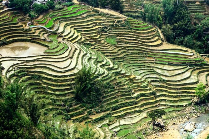 Sapa 1 Day Trekking - Practical Considerations