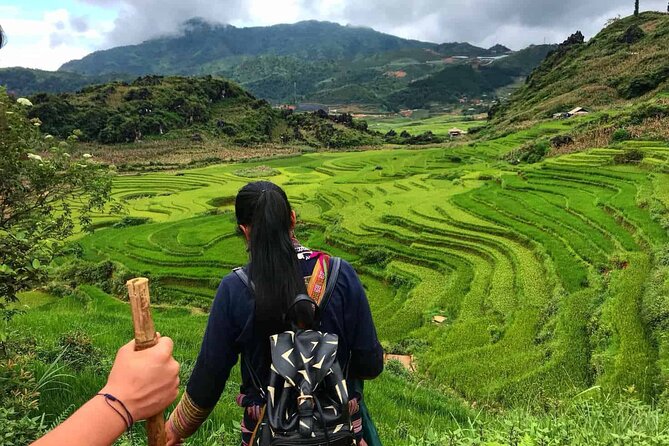 Sapa 1 Day Trekking Tours - Frequently Asked Questions
