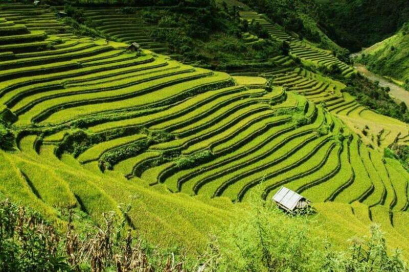 Sapa 2-Day Adventure from Hanoi: Trekking Villages &Fansipan - Who This Tour Is Best For