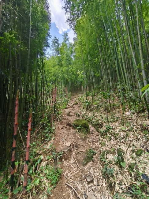 Sapa: 2-Day Local Guided Valley Trek with Night Homestay - Key Points