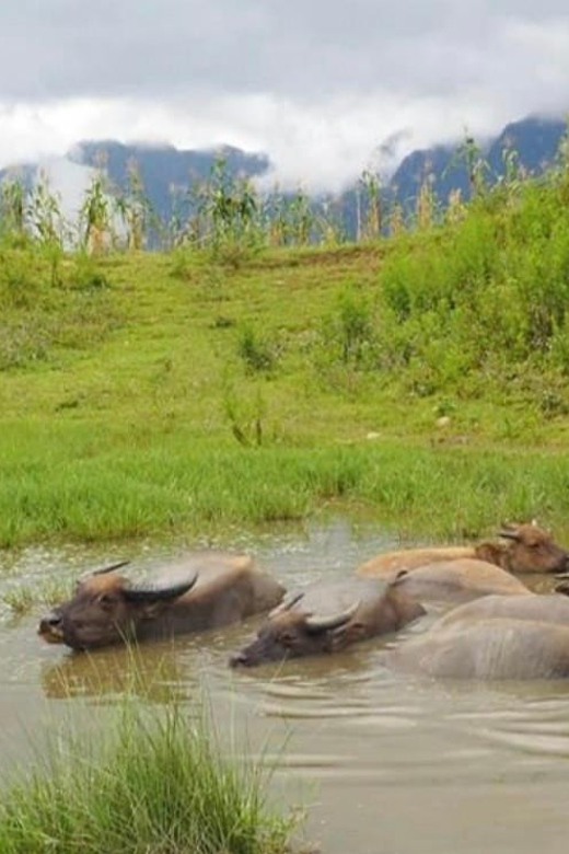 SAPA 2 Day trekking & 1 night Homestay with LOCAL PEOPLE - Who Will Love This Tour?