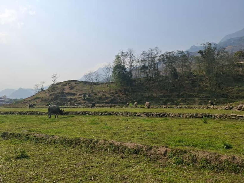 Sapa: 2 day trekking experience - Exploring the 2-Day Sapa Trekking Experience: A Genuine Taste of Northern Vietnam
