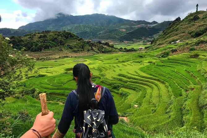 Sapa 2 Day Trekking with 1 Night Homestay - Who Is This Tour Best For?
