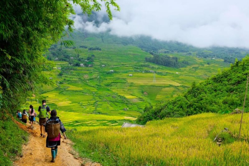 SaPa: 2-Day Villages,Rice Fields, Love Waterfall Hiking Tour - Who Is This Tour Best For?