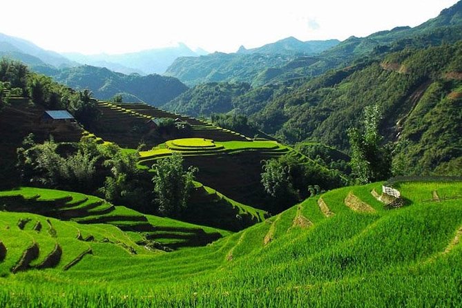 Sapa 2 Days 1 Night Bac Ha Market Tour (Overnight In Hotel) - Final Thoughts: Is This Tour Right for You?