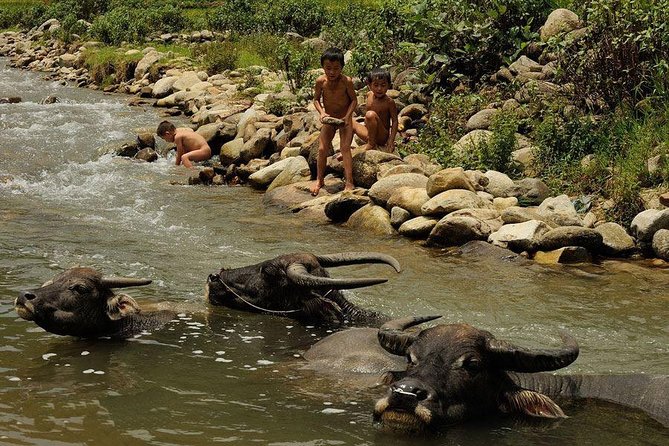 Sapa 2 Days 1 Night From Hanoi - Overnight in Ta Van Village - FAQ