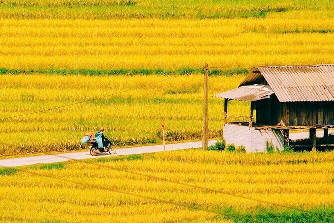 Sapa 2 Days 1 Night Overnight at Homestay Ta Van Village - Final Thoughts