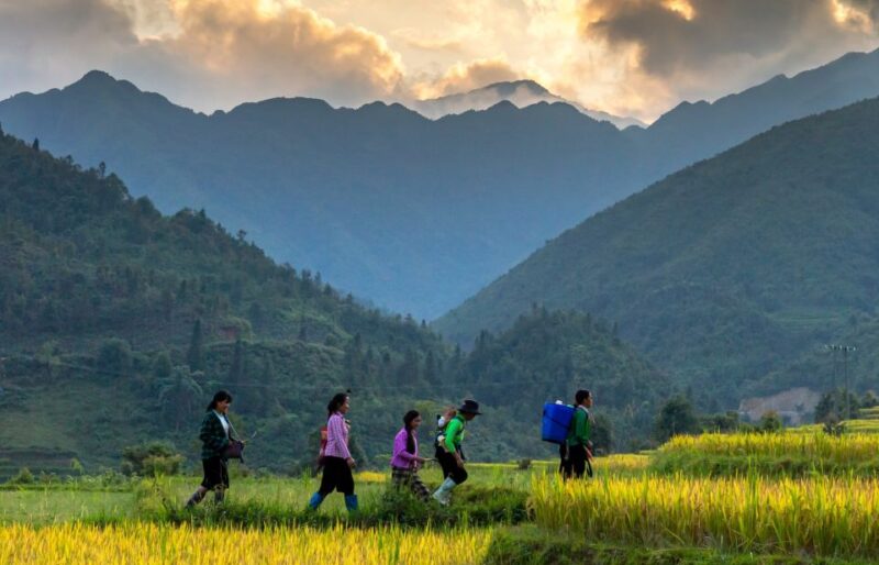Sapa 2-Days Trek tour - Stay Sapa Homestay - The Practical Side: What’s Included and What to Consider