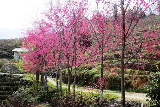 Sapa 2D1N Trekking to Giang Ta Chai Village from Hanoi by Bus - The Journey: What You Can Expect