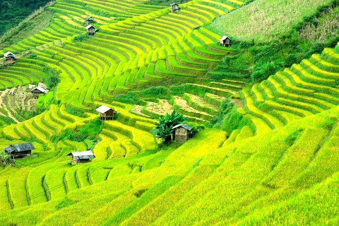 Sapa 2D1N Trekking to Giang Ta Chai Village from Hanoi by Bus - Final Thoughts: Who Is This Tour For?