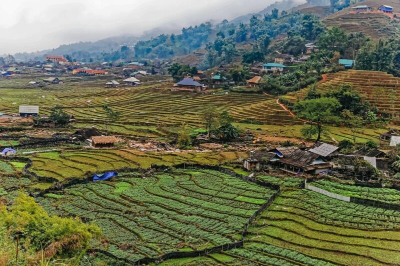 Sapa: 3-Day, 3-Night Trek and Hotel with Overnight Train - Transportation and Comfort Levels