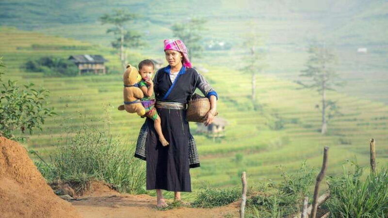 Sapa 3-Day Tour: Waterfalls, Trekking & Fansipan From Hanoi - Day 3: Reaching the Summit of Fansipan