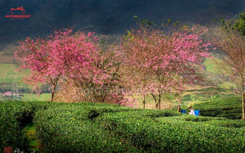 SAPA 3 DAYS 2 NIGHTS PACKAGE - Who Will Love This Tour?