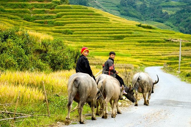 Sapa 3 Days 2 Nights Trekking Tour (1 Night In Ta Van Village, 1 Night In Hotel) - Possible Drawbacks or Considerations