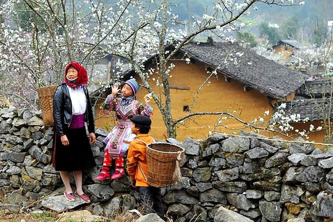 Sapa 3 Days 2 Nights Trekking Tour From Hanoi (2 Nights in Hotel) - Who This Tour Is Best For