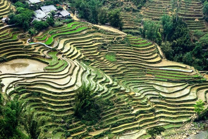 Sapa 3 Days Trek with 2 Nights Homestay - Who Is This Tour Best For?