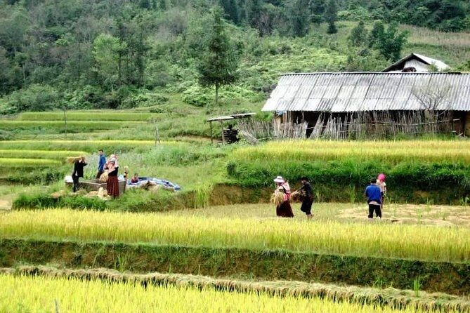 Sapa 3 Days Trekking Tour By Bus from Hanoi (2 Nights in Hotel) - Authentic Experiences and Highlights