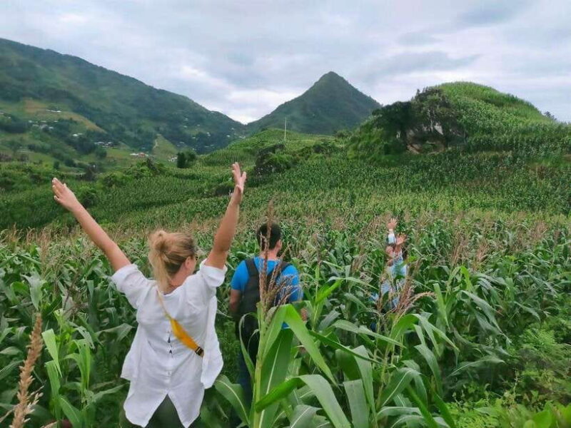 Sapa: Amazing Suoi Ho, Ma Tra Villages Private Day Trip - Key Points