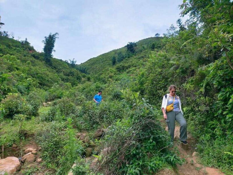 Sapa: Amazing Suoi Ho, Ma Tra Villages Private Day Trip - The Itinerary: Step-by-Step Breakdown