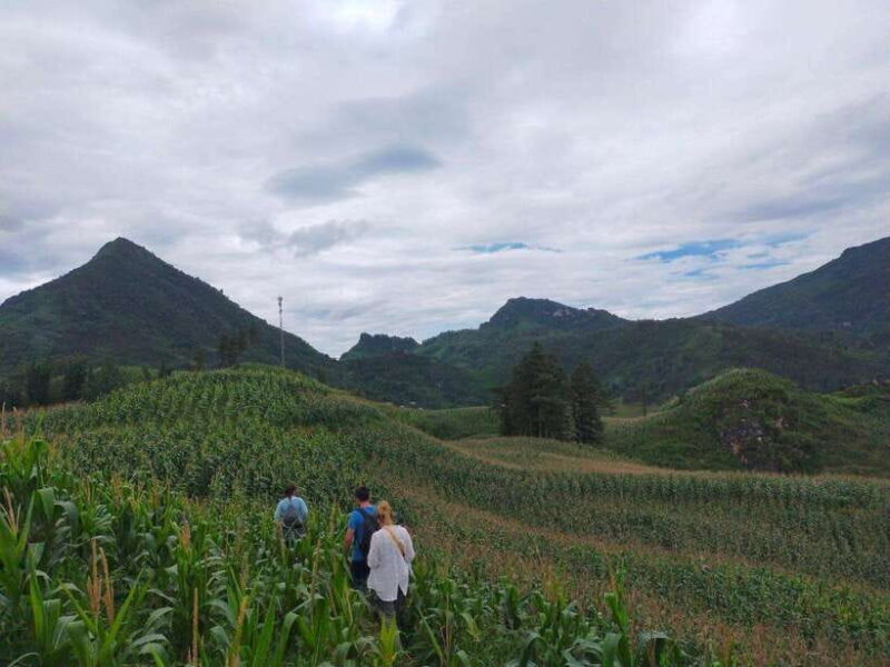 Sapa: Amazing Suoi Ho, Ma Tra Villages Private Day Trip - Practical Details and Value