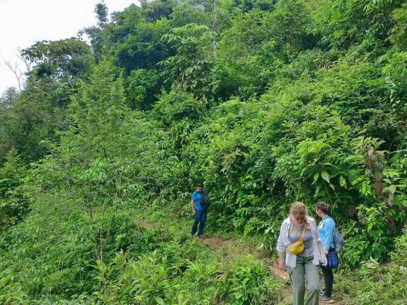 Sapa: Amazing Suoi Ho, Ma Tra Villages Private Day Trip - Final Thoughts: Is It Worth It?