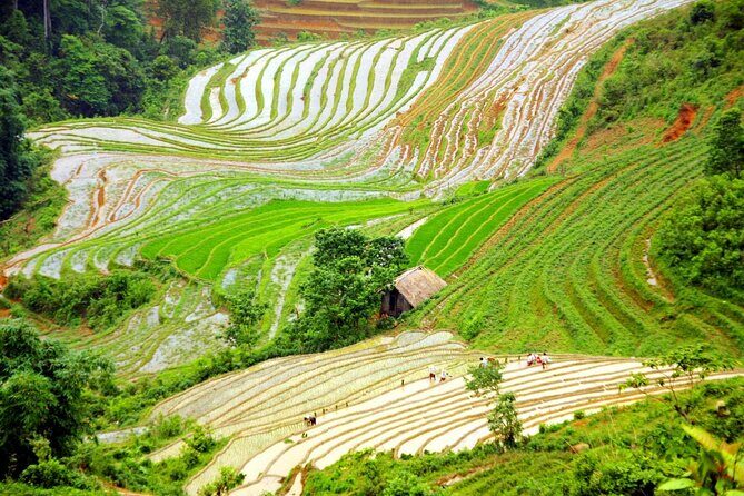 Sapa and Ha Giang Explore Luxury Tour 6 Days Full Options - Why This Tour Offers Great Value