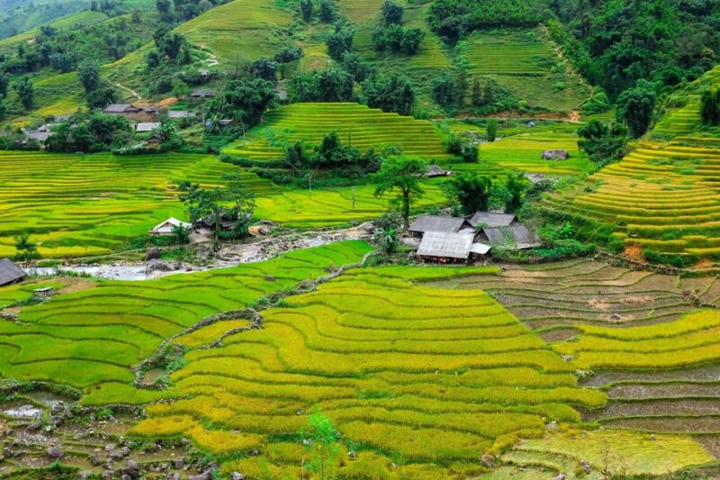 Sapa beautiful rice field, village - Easy walking kid,senior - Introduction: A Gentle Journey into Sapas Rice Fields and Villages
