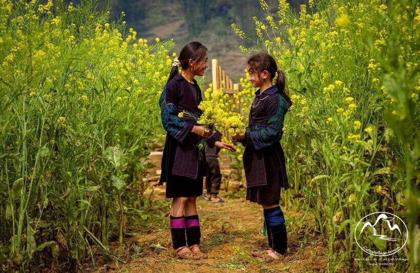 Sapa Cat Cat Village And Y Linh Ho Private Trekking Tour - Price, Value, and Practicalities