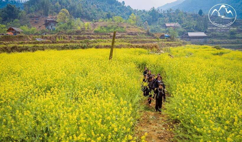 Sapa Cat Cat Village And Y Linh Ho Private Trekking Tour - FAQ