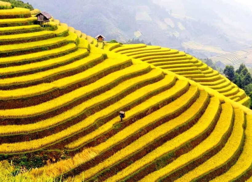 Sapa: Cat Cat Village, Moana, Alpine Coaster, Fansipan Cable - Exploring Sapa: What You Can Expect
